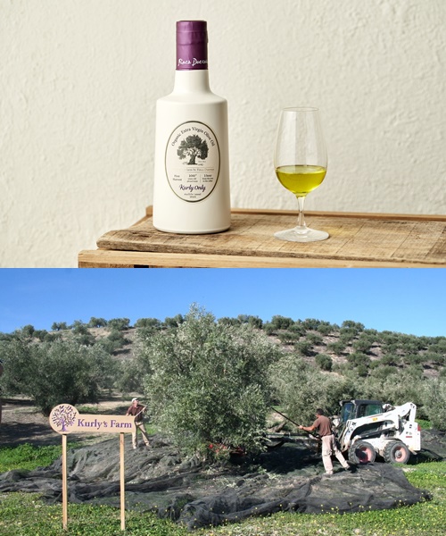 컬리, 유기농 햇 올리브 '엑스트라 버진 올리브유' 출시