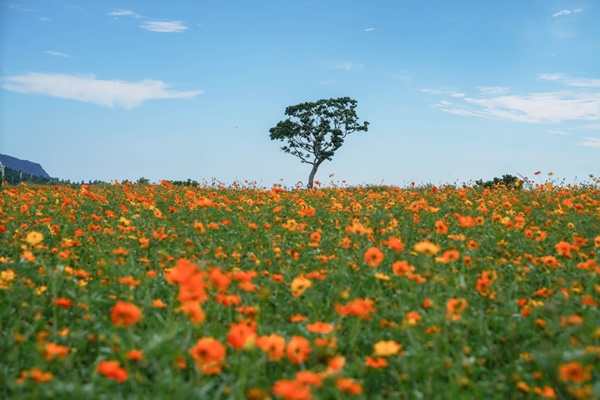 제주신화월드, ‘웰컴투 삼달리’ 명소찾기 패키지 론칭