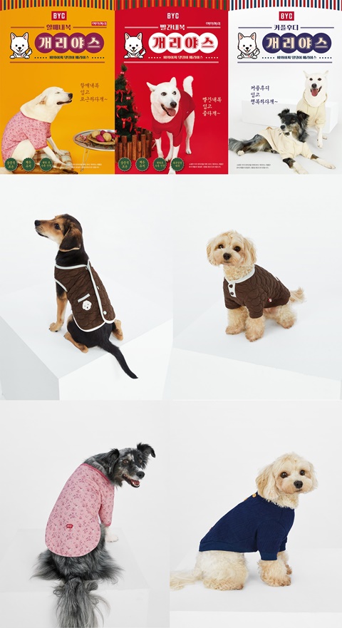 BYC, 반려견 위한 ’24FW 개리야스’ 신제품 출시