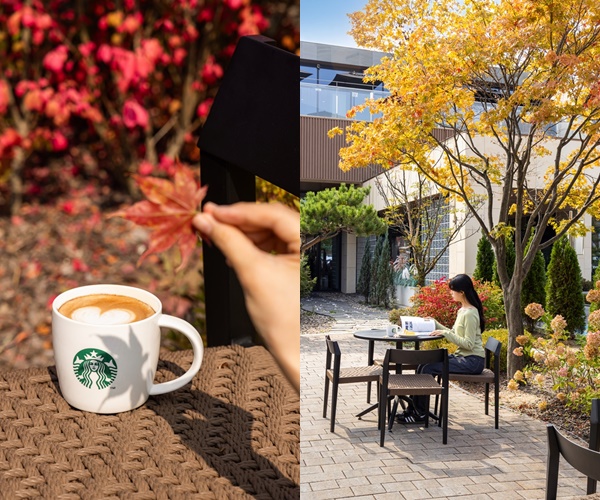 '단풍 맛집'에 풍덩~스타벅스, 가을철 나들이 매장 추천